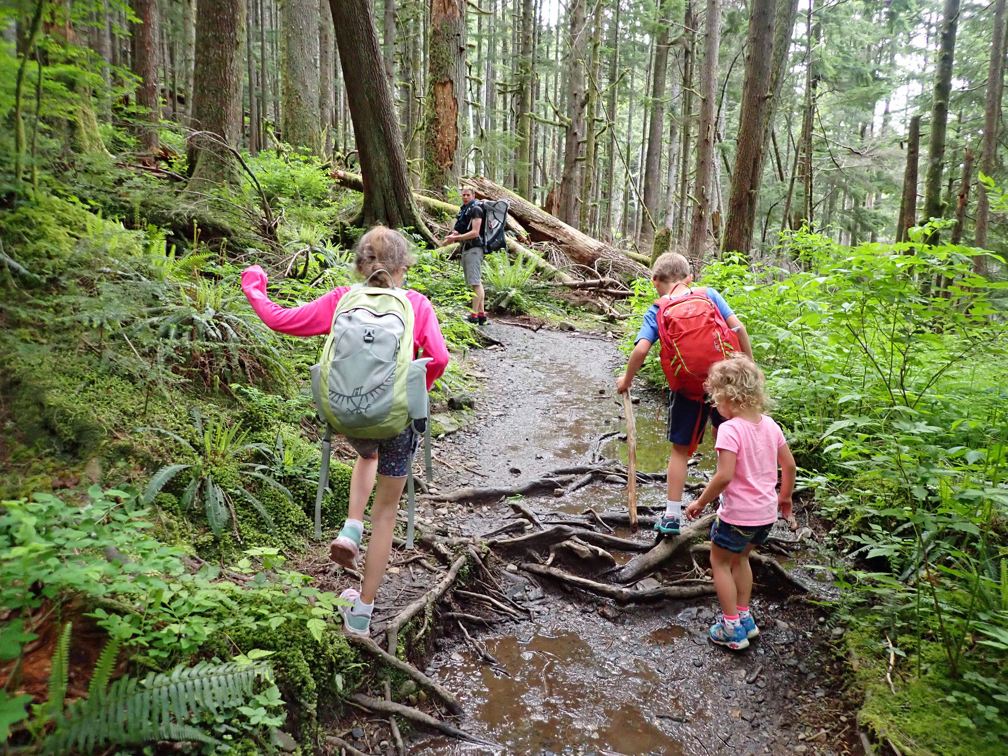 Expert Tips for Getting Outside with Kids — Washington Trails Association