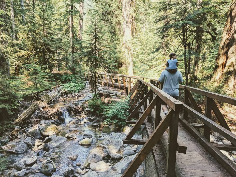 Ten Low-key Nature and Interpretive Trails — Washington Trails Association