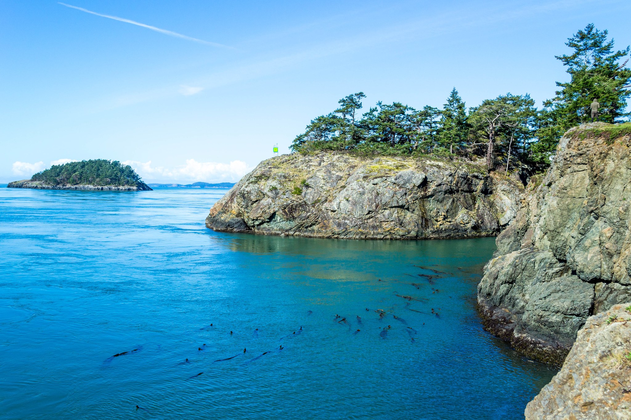 Tide Pooling with Kids — Washington Trails Association