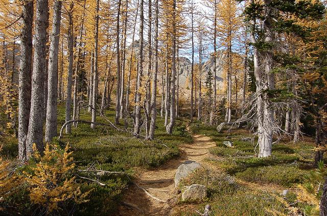 Five Tips for Fall Hiking — Washington Trails Association