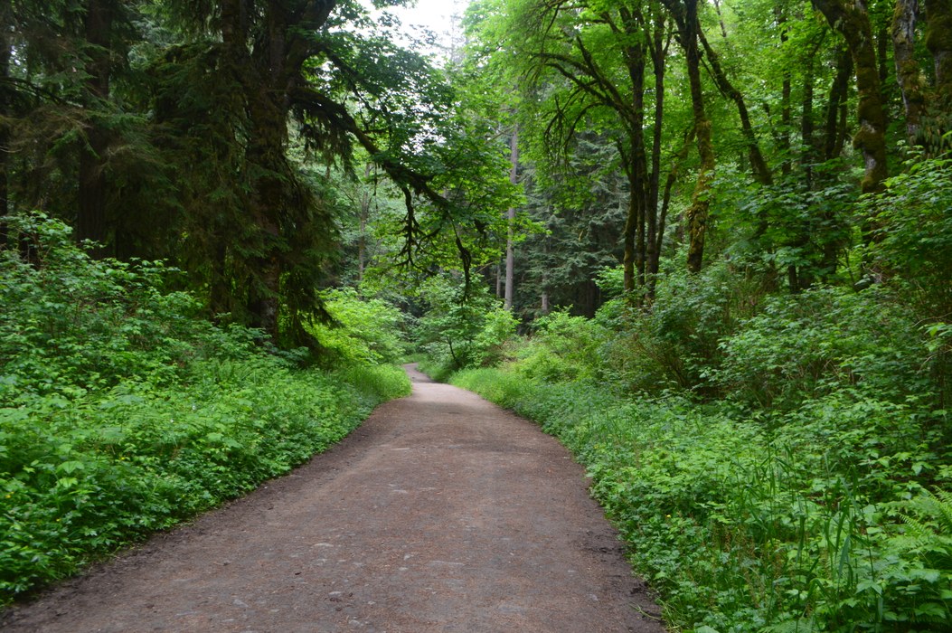 10 Local Loops: Spring Hikes Near Seattle — Washington Trails Association