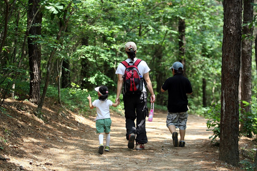 14 Family-Friendly Hikes to Do Over Spring Break — Washington Trails ...