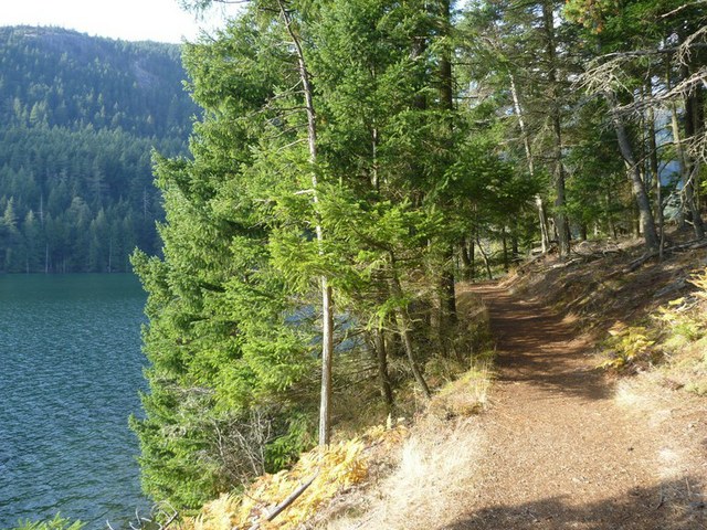 WTA Staff Favorites: 17 Trails to Try Running This Spring and Summer ...