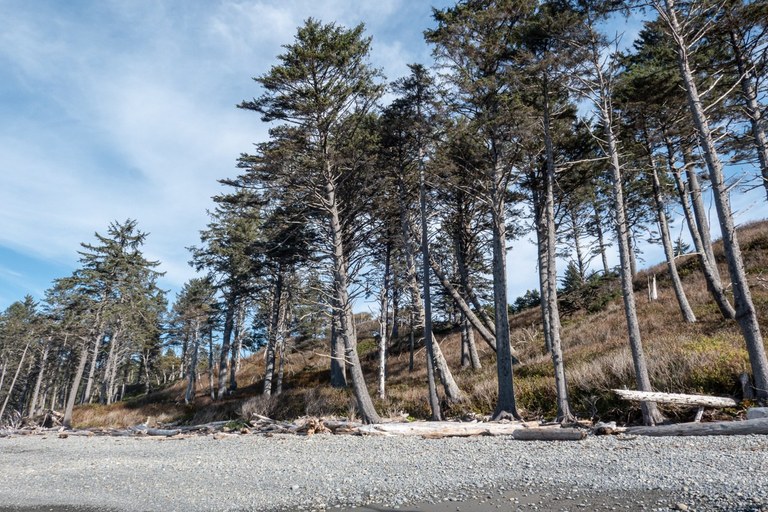 10 Sea Breeze Hikes for a Hot Day — Washington Trails Association