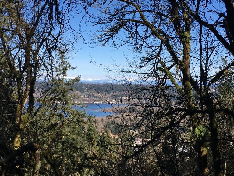 16 Hikes For Close-to-Town Vistas — Washington Trails Association
