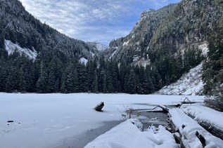 Crystal Mountain Loop (Silver King) — Washington Trails Association