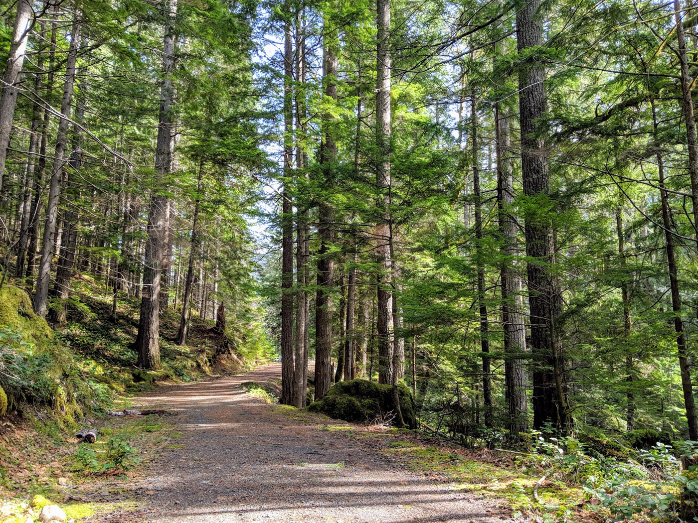Get Some Space: Wide Trails for Hiking Together — Washington Trails ...