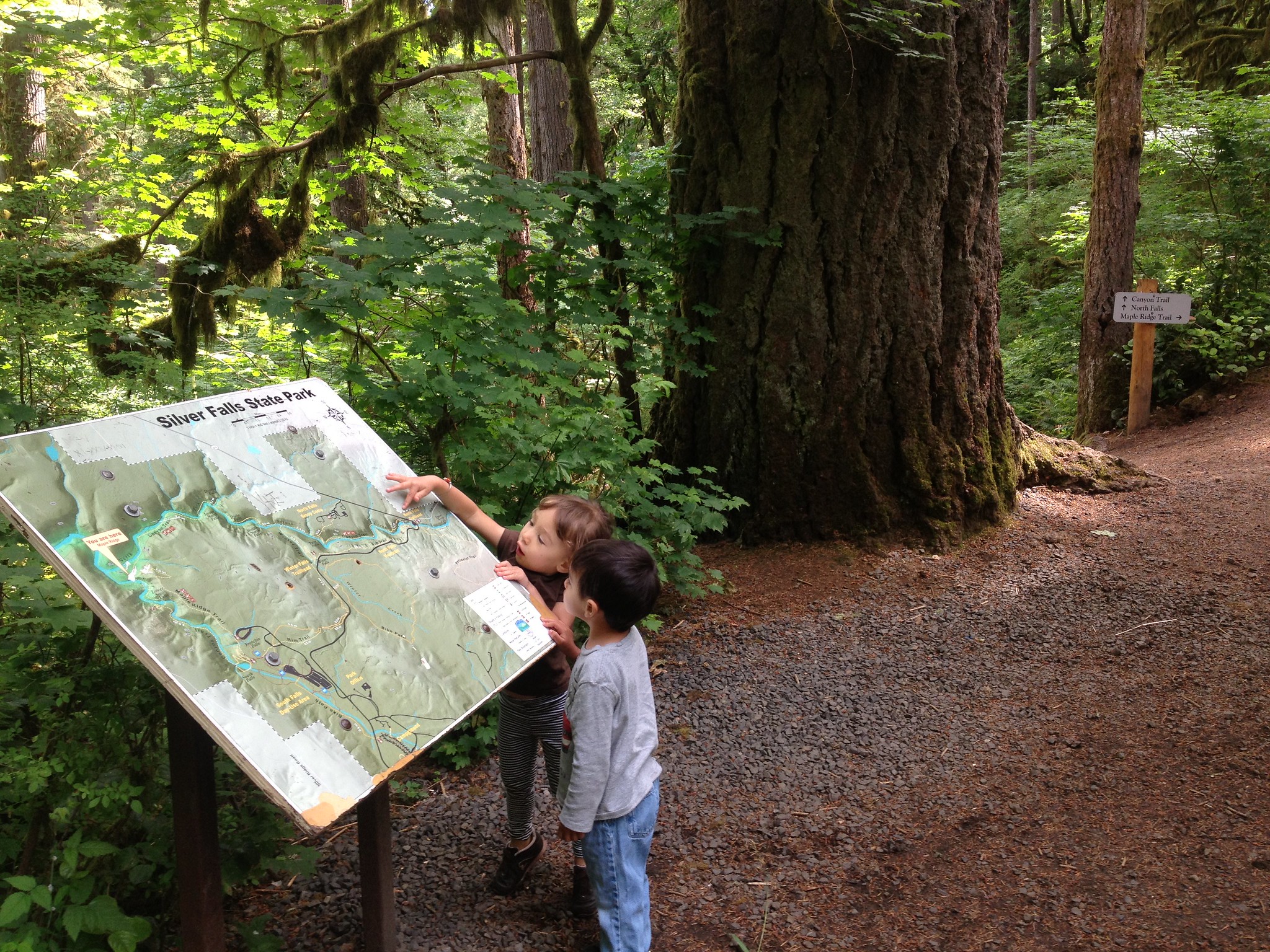 Ten Essentials — Washington Trails Association