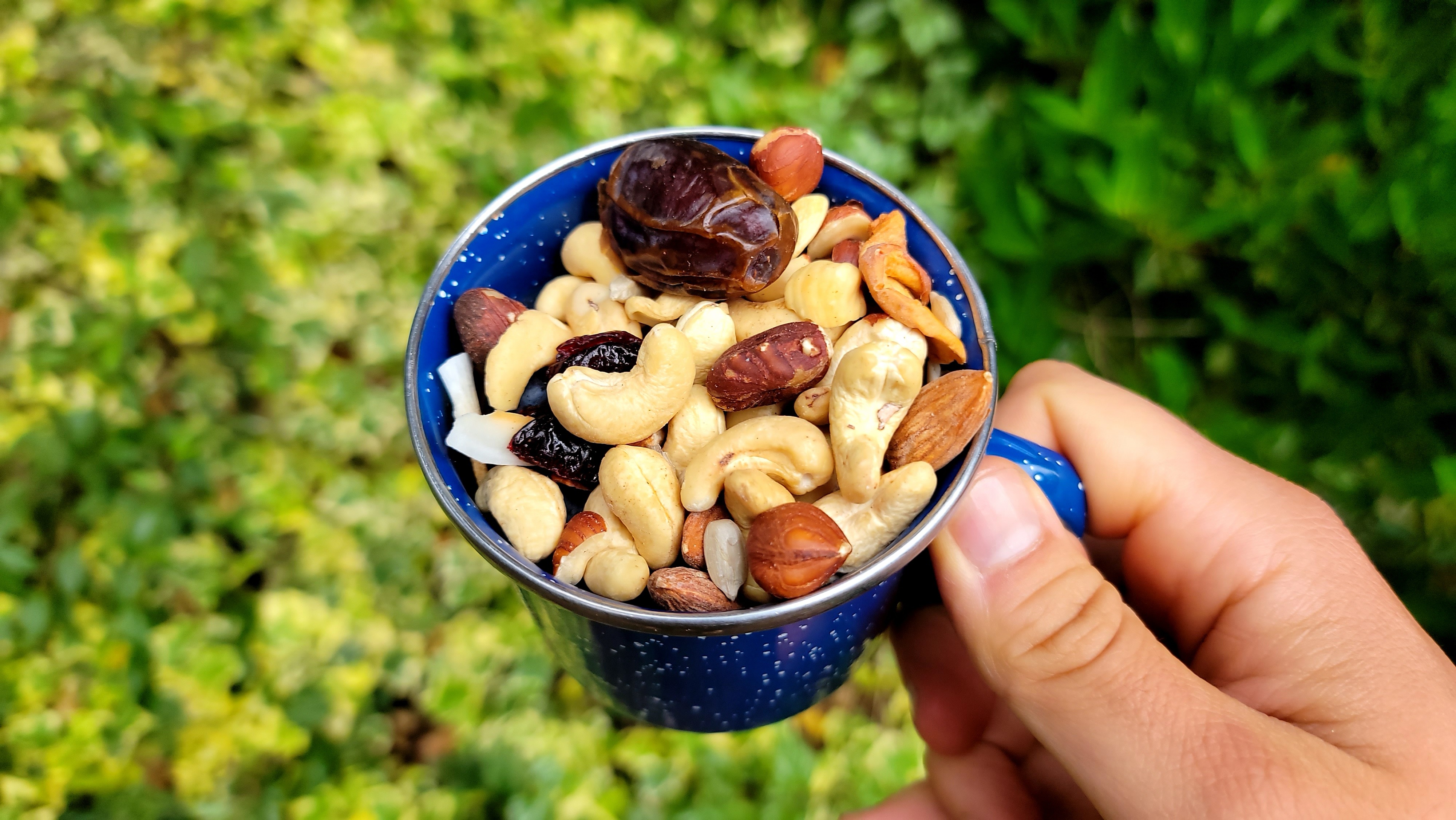 Plant-Based Adventuring: Power Your Hike with These Vegan Treat and ...