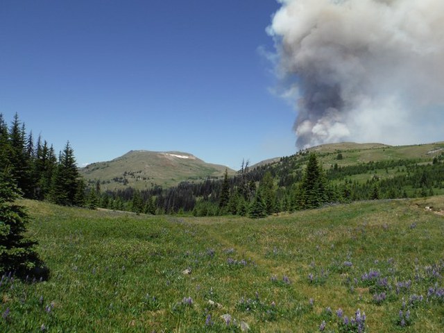 Escape Routes and Smokey Skies: Tips for Hiking During Wildfire Season ...