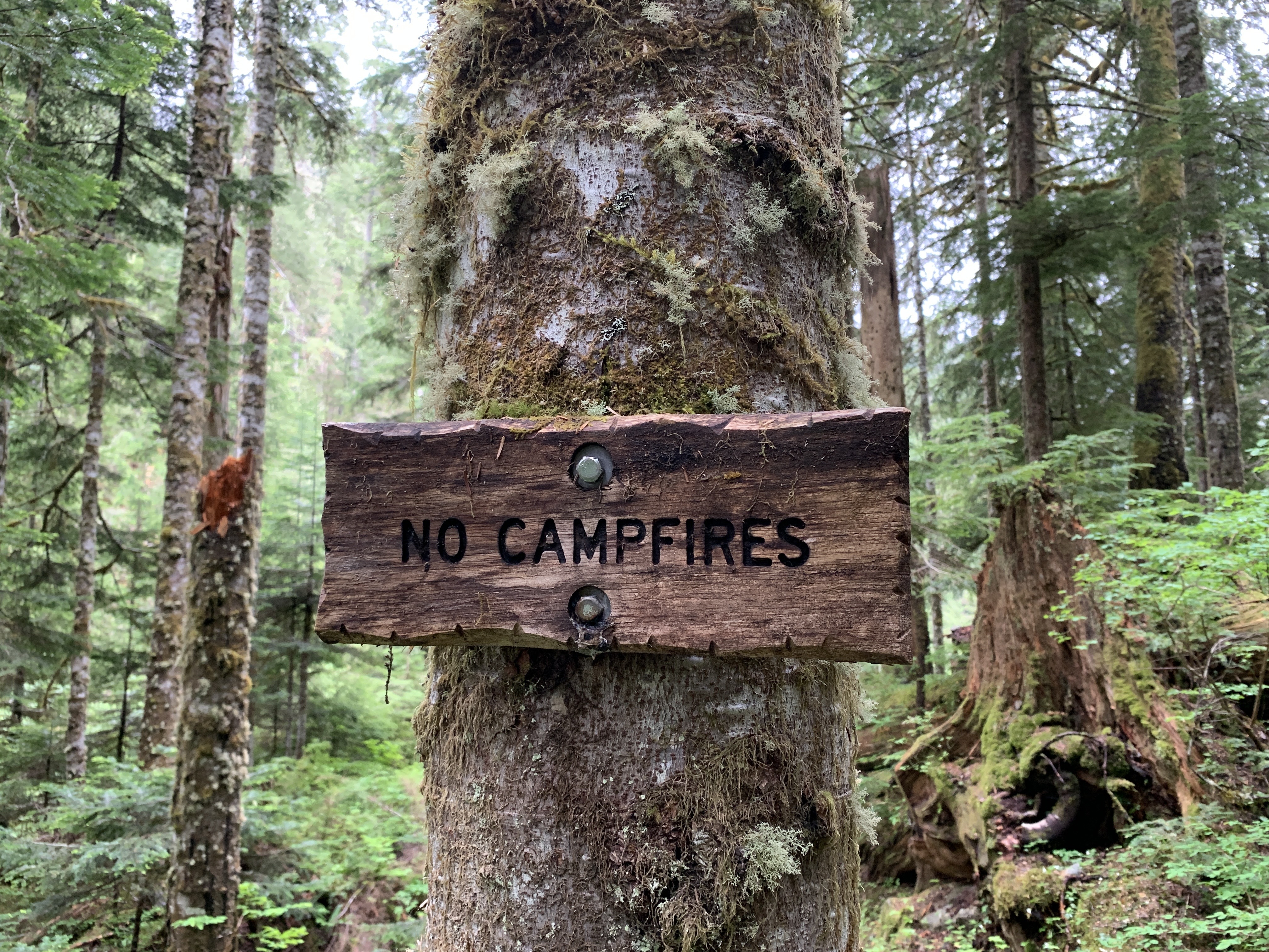 Wildfire Season and Campfire Safety — Washington Trails Association