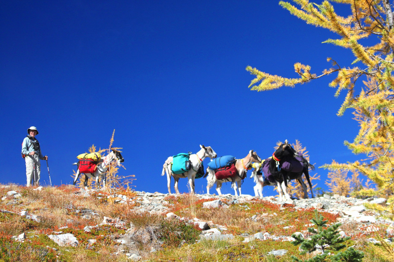 Light-Footed Hiking Helpers — Washington Trails Association