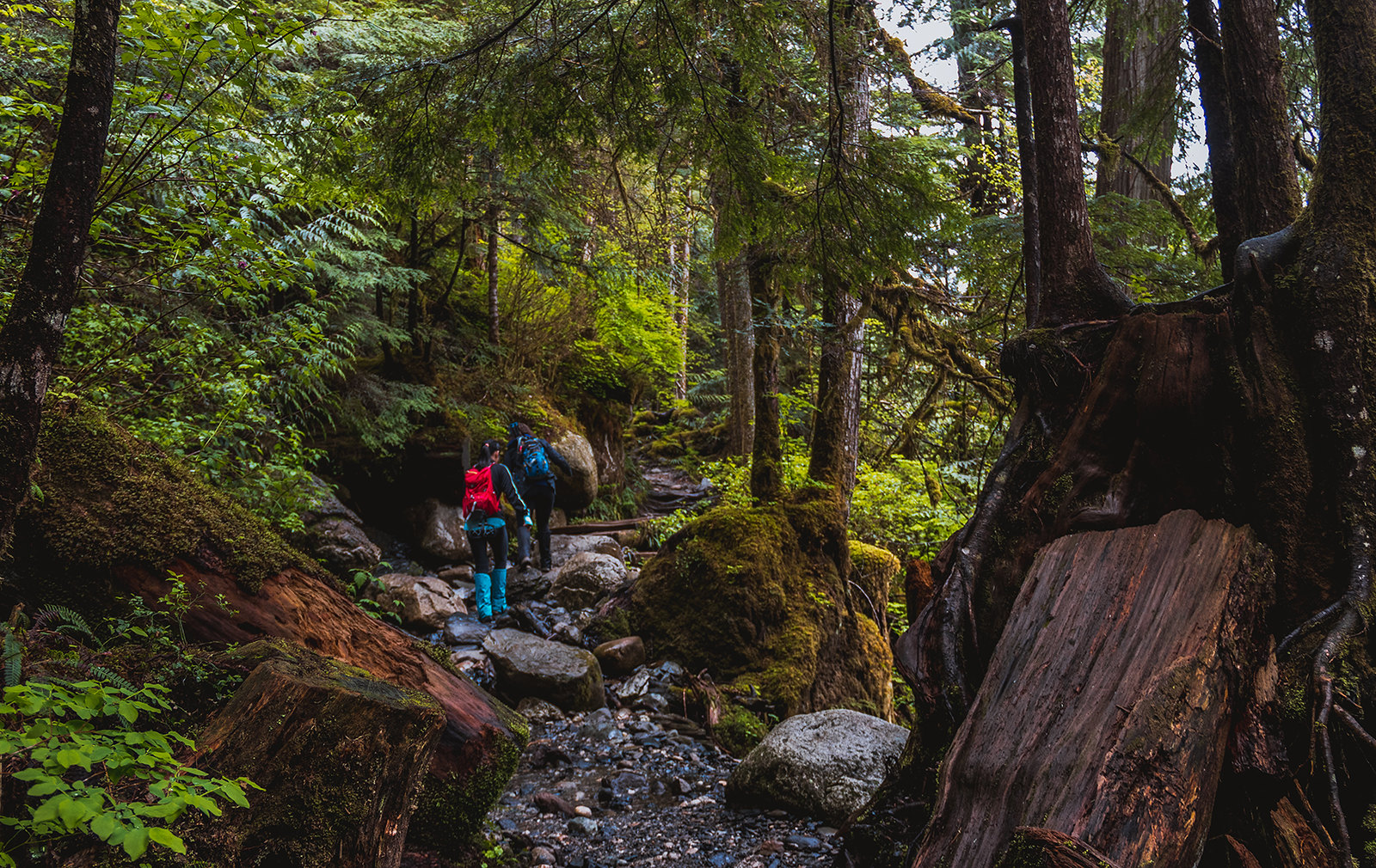 Tell Us About It: What Do You Think of the Mountain Loop Highway ...