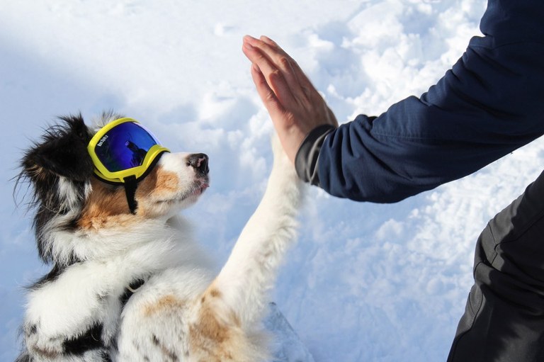 5 Ways to Celebrate National High Five Day — Washington Trails Association