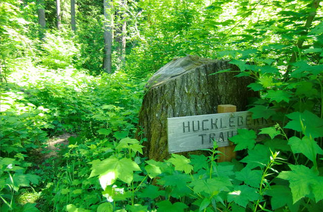 7 Signs Your Trail is in Trouble & What to Do About it — Washington ...