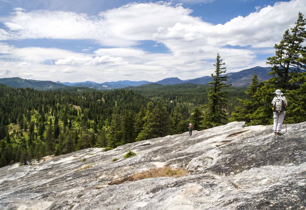 Volunteer for Teanaway Community Forest's Stewardship Day — Washington ...
