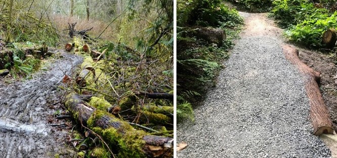 Clearing Trails (and Our Story Queue): 6 Stories We Missed — Washington ...