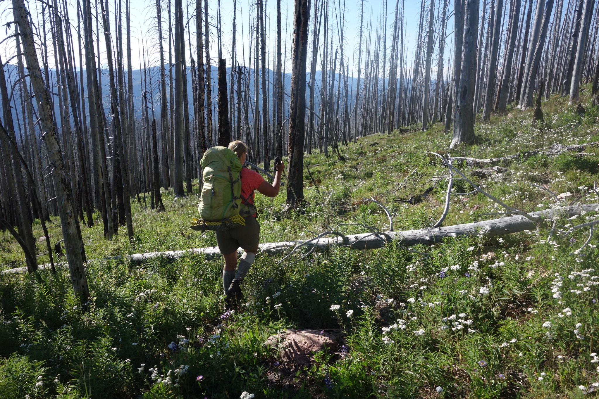 Coming Together for a Long, Lost Trail in the Pasayten Wilderness ...