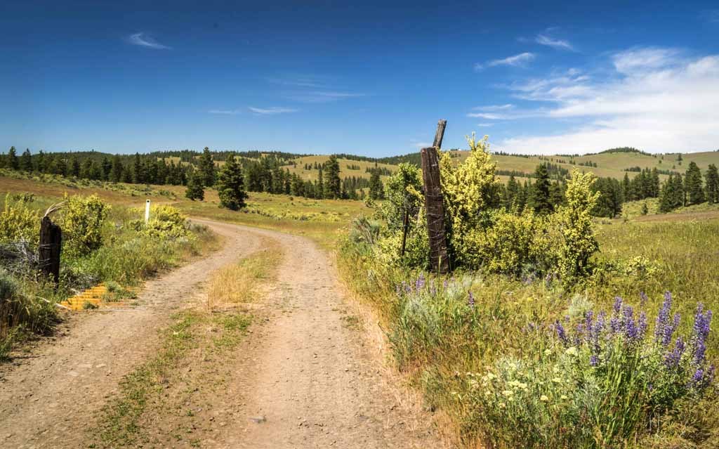 Ellensburg Meeting a Chance to Shape the Manastash Ridge Trail System ...