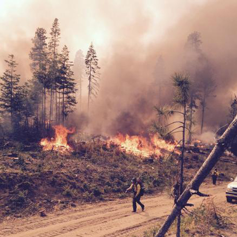 Fire Update: New Blazes, Evacuations, Closures — Washington Trails ...