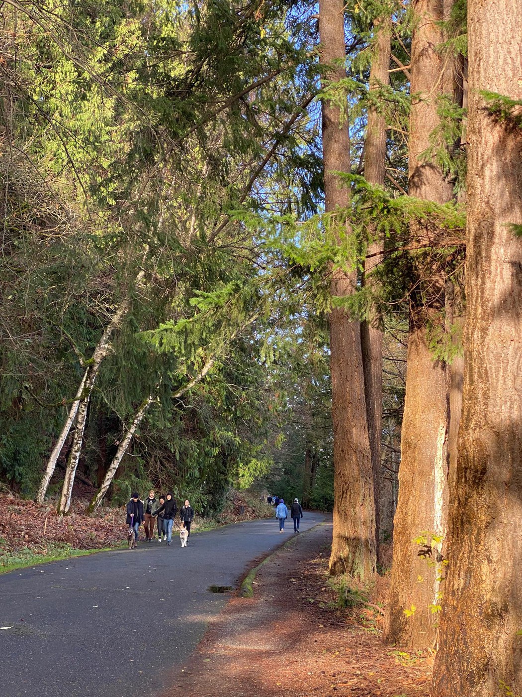 How to Get to King County Trailheads Without a Car — Washington Trails ...
