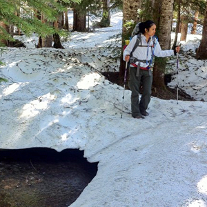 Hike Safely on Snow — Washington Trails Association