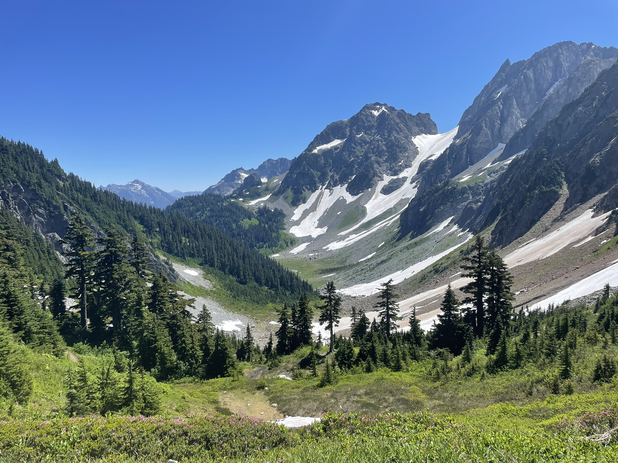 Hiker Headlines: Road and Trail Openings, Hurricane Ridge, New Trail ...