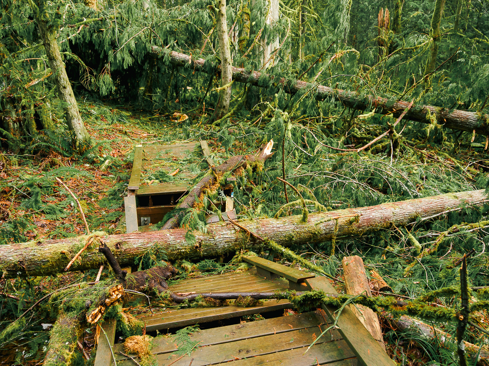 Hiker Headlines: Wallace Falls, Squak Mountain closed due to storm ...