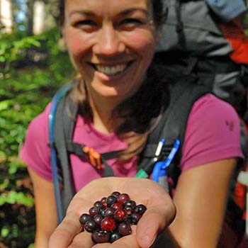 Huckleberry Study: Pick Their Future — Washington Trails Association