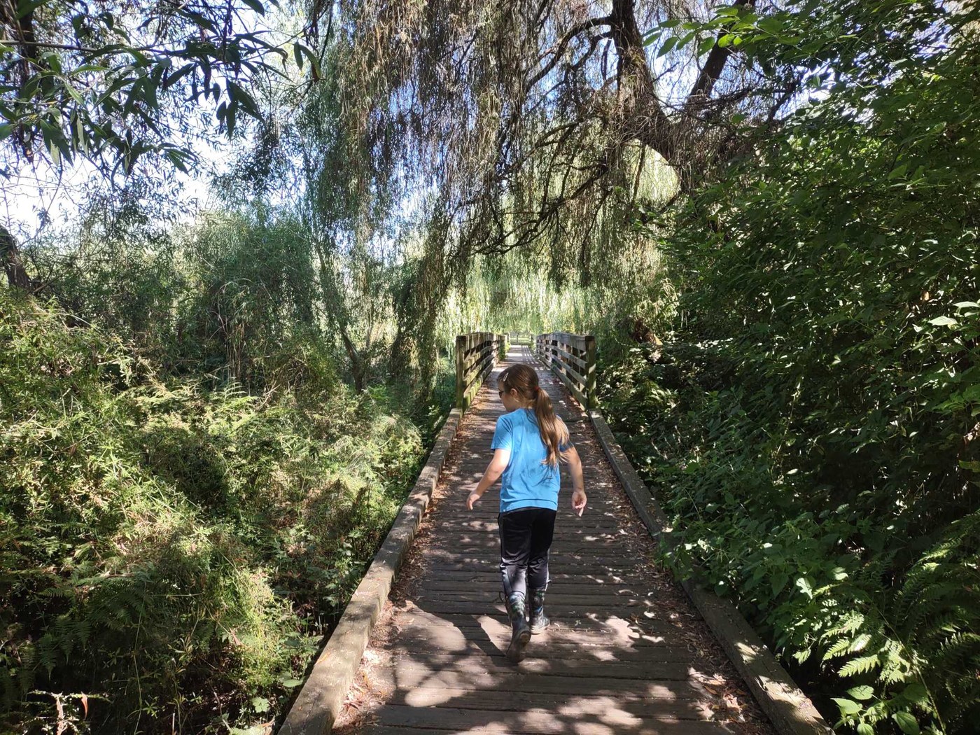 King County parks and trails you can take a bus to year round ...