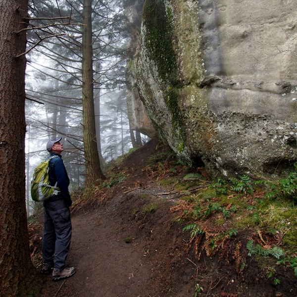 Larrabee's New Rock Trail: Grand Views, Loop Options — Washington ...