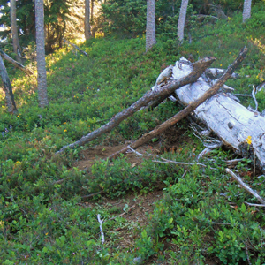 Poop Week: Proper Etiquette for Backcountry Potties — Washington Trails ...
