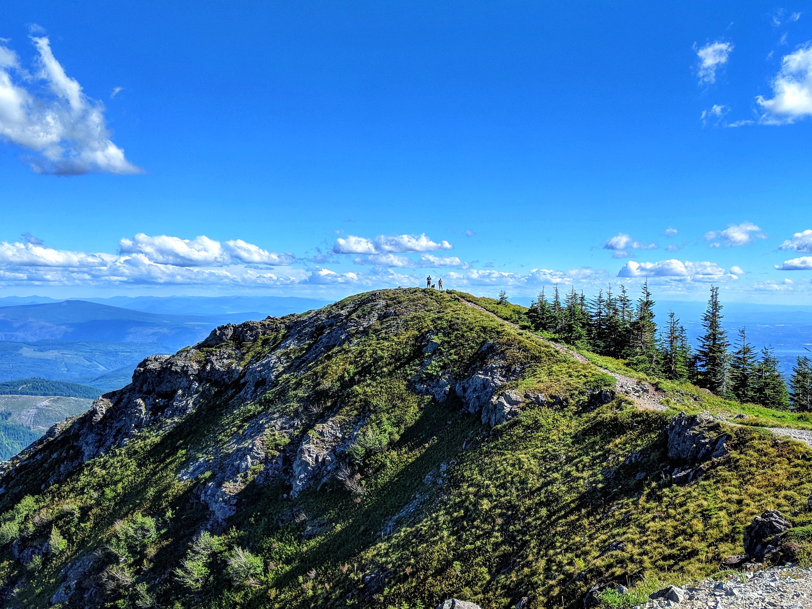 Silver Star Vision Plan is a North Star for the Future of a Special ...