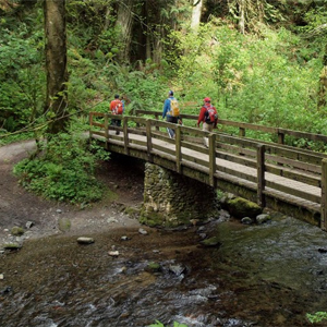 What Kind of Trails Do You Want in Larrabee State Park? — Washington ...