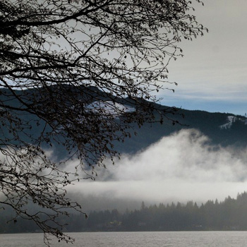 Whatcom Welcomes New Forested Park — Washington Trails Association