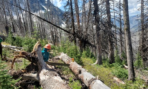 Putting Lost Trails Back on the Map — Washington Trails Association
