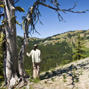 WTA Appointed to Teanaway Community Forest Advisory Committee ...