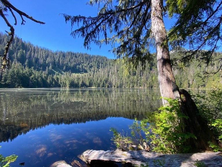 Bear Lake — Washington Trails Association