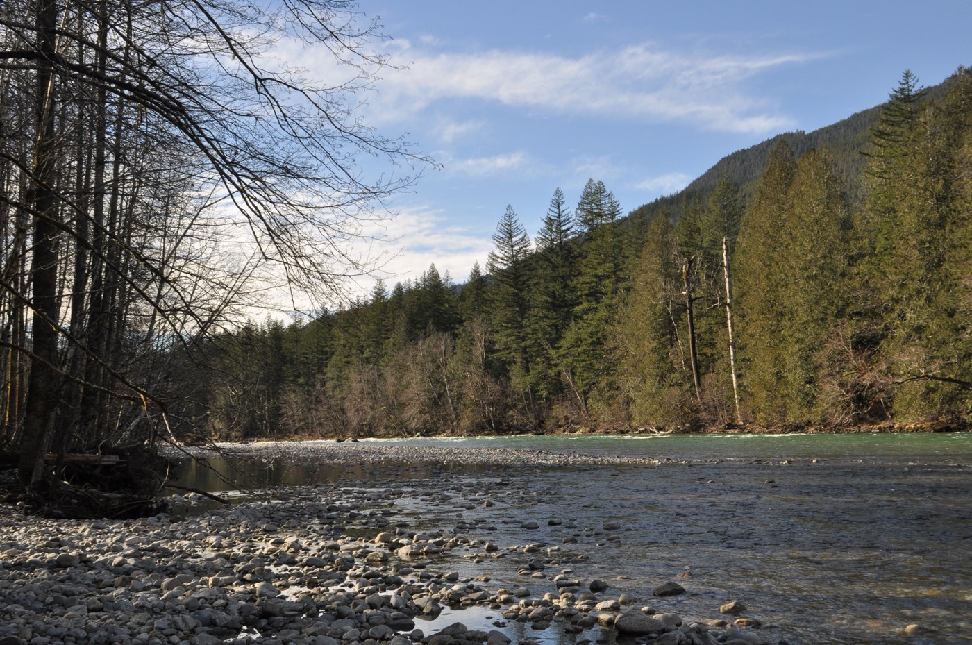 Skagit River Loop Trail — Washington Trails Association