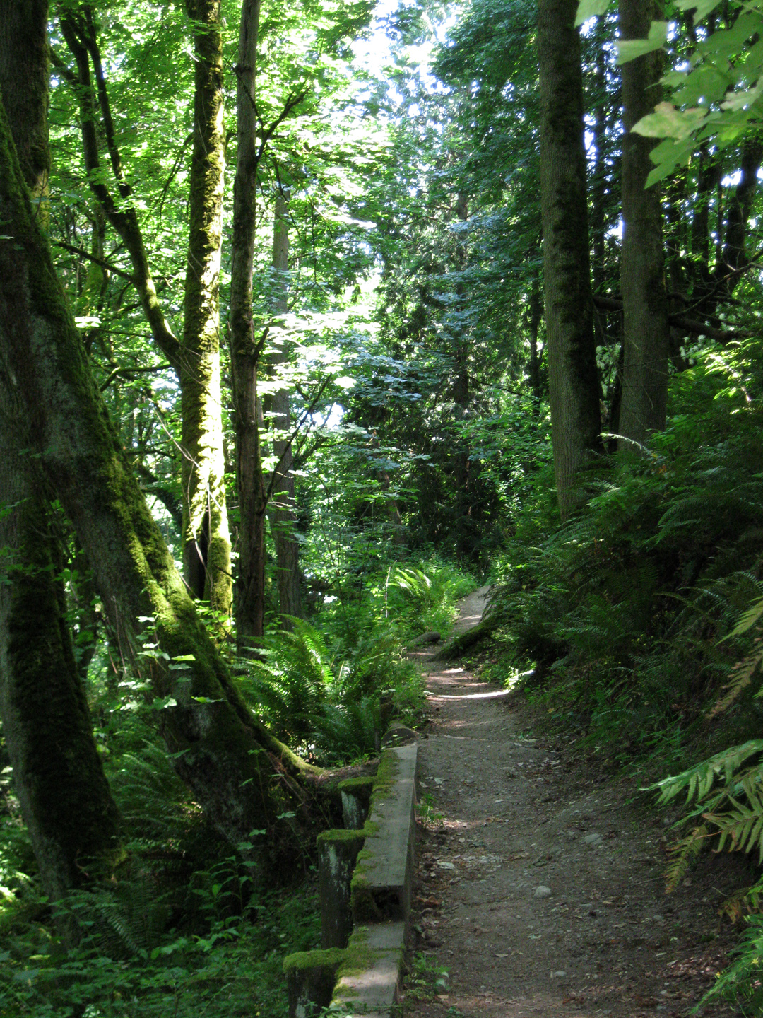 Mercer Island Trail Map