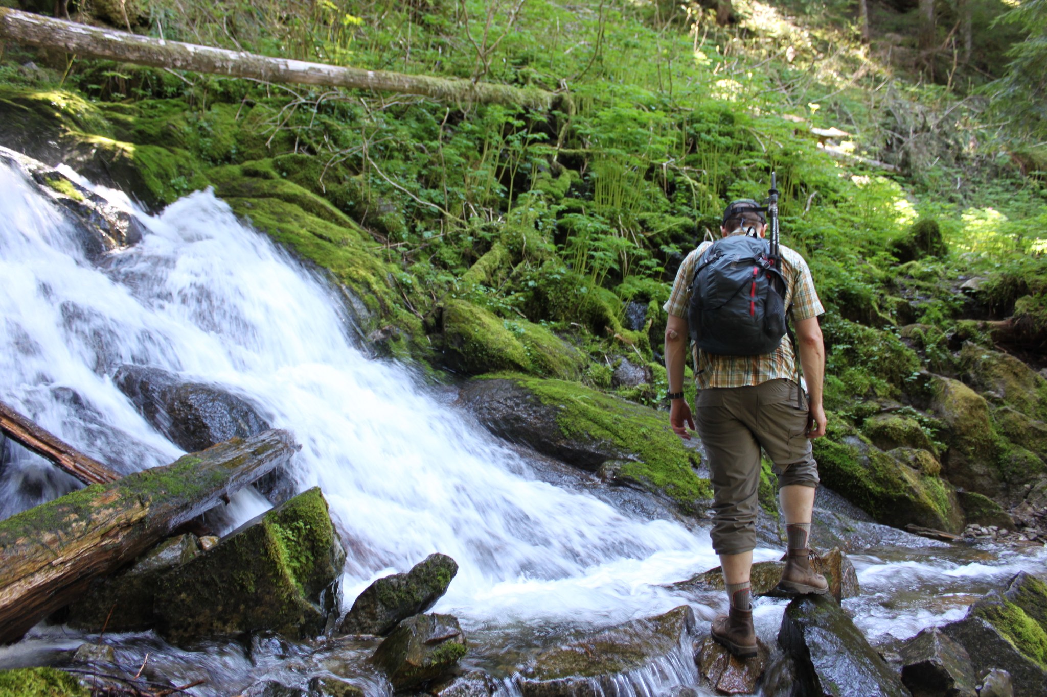 Alki Crest — Washington Trails Association