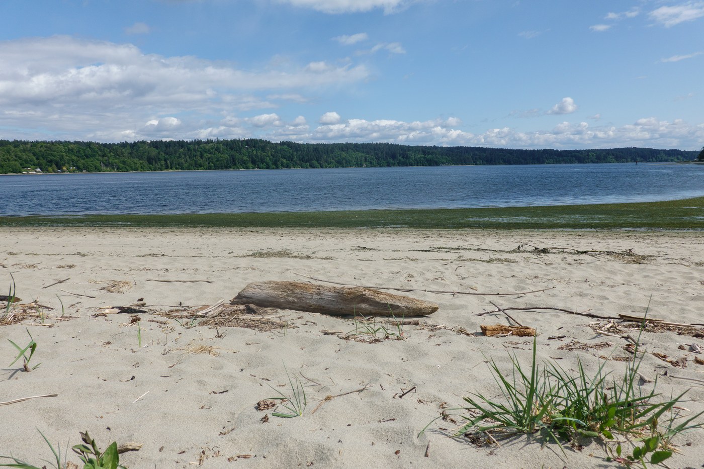 Anderson Point — Washington Trails Association