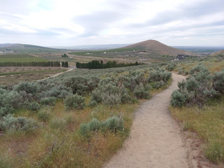 Badger Mountain - Skyline Trail — Washington Trails Association