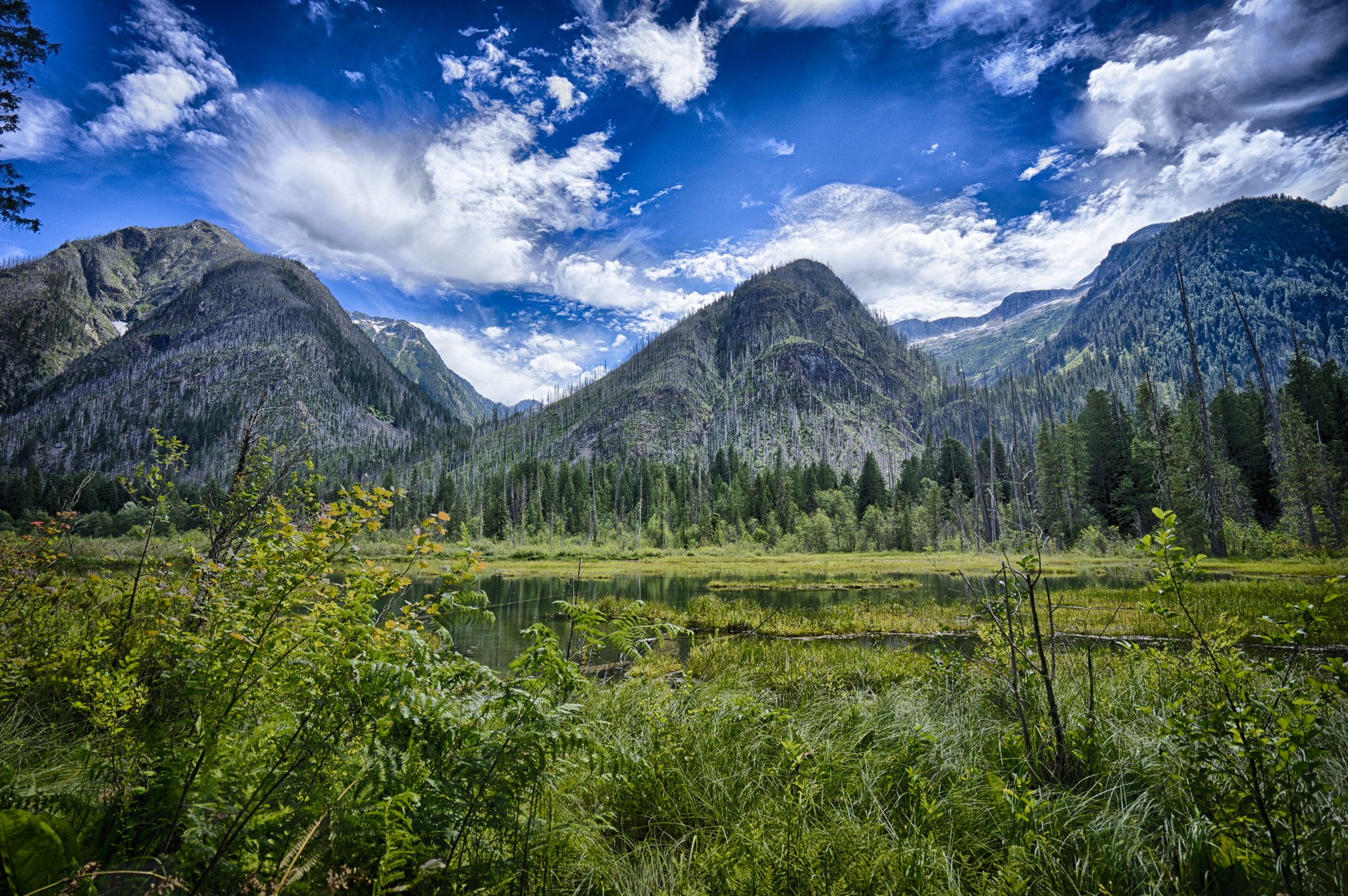 Big Beaver Trail — Washington Trails Association