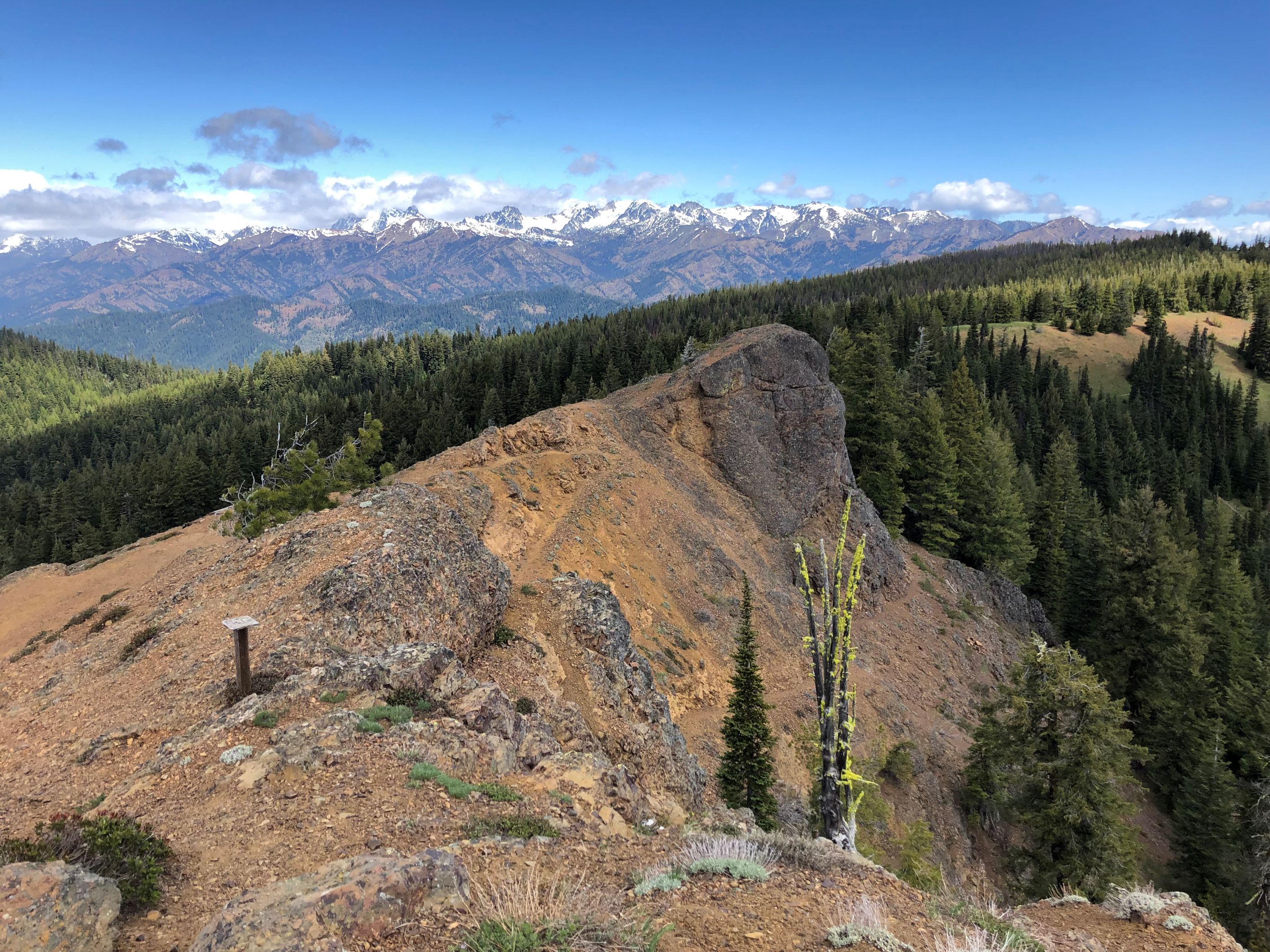 Blue Creek — Washington Trails Association