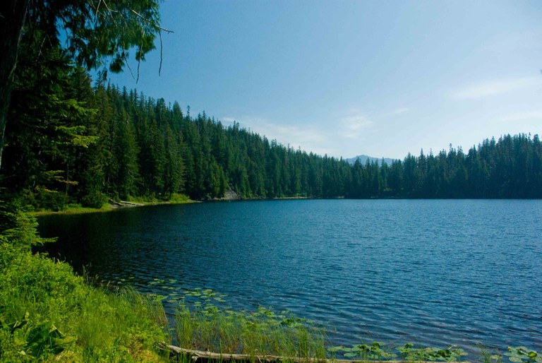 Boardman Lake — Washington Trails Association