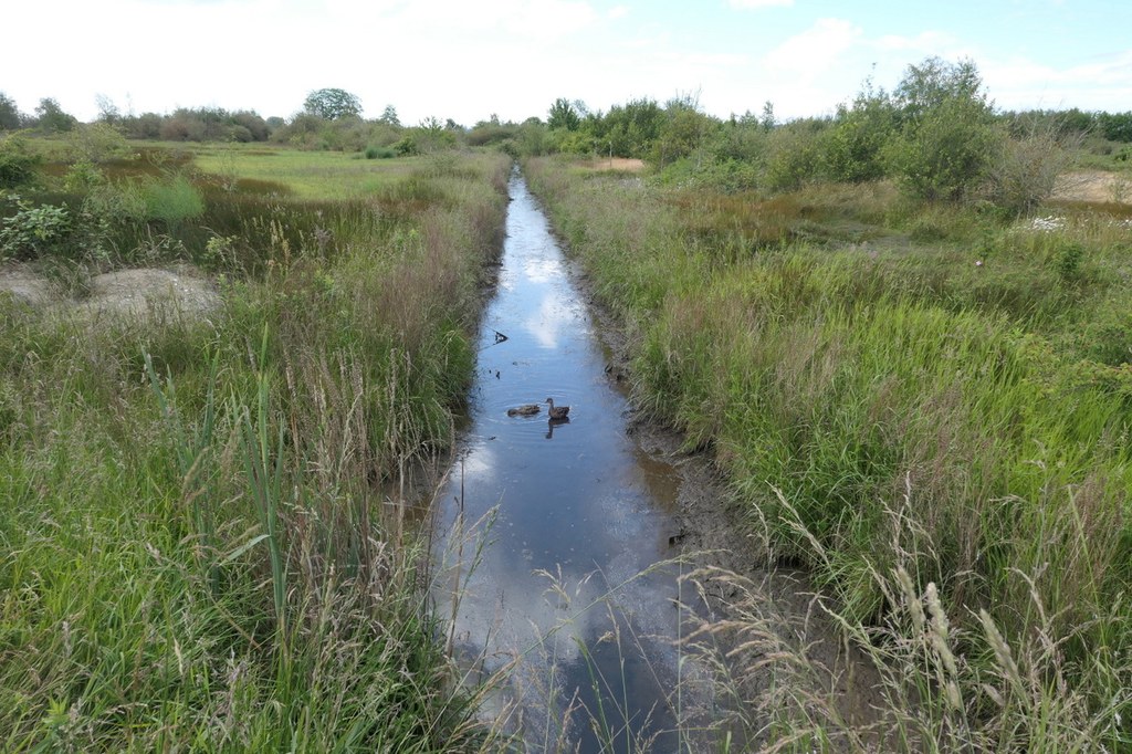 Boundary Bay Regional Park — Washington Trails Association