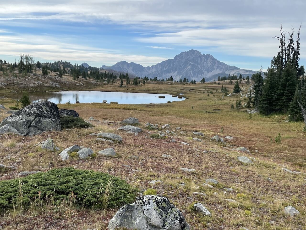 Boundary Trail - Pasayten — Washington Trails Association