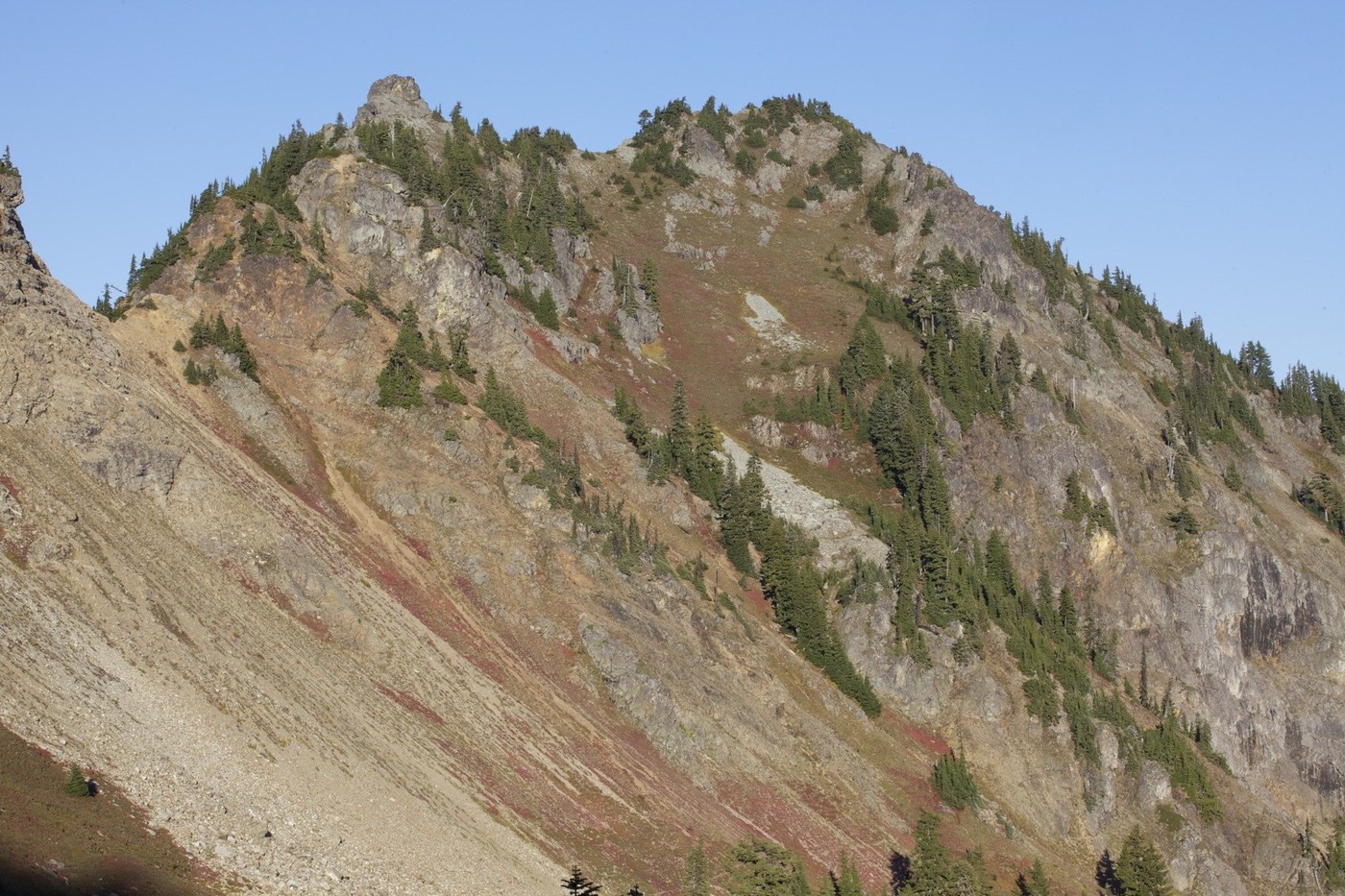 Box Ridge — Washington Trails Association