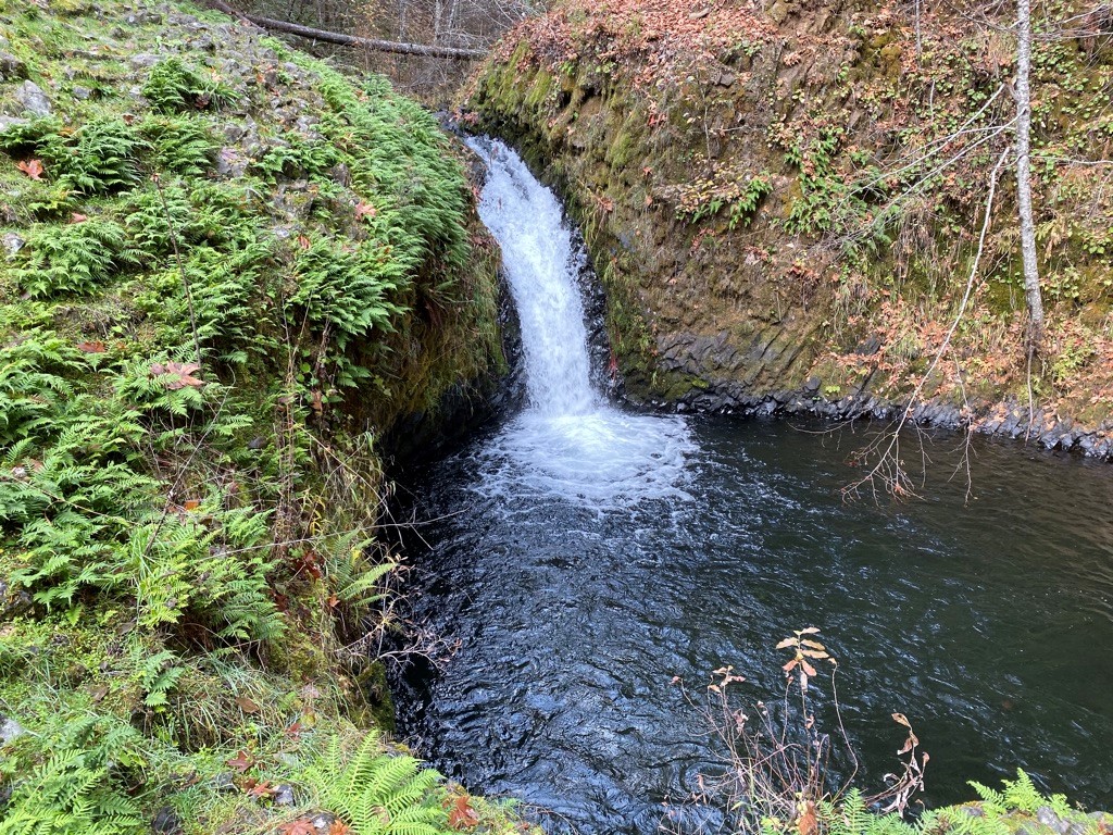 Buck Creek Falls Loop — Washington Trails Association